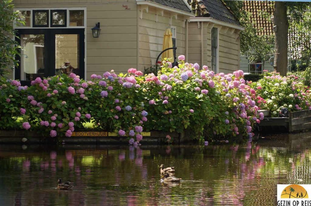 Met een fluisterboot door pittoresk waterland vanuit theetuin Overleek ...