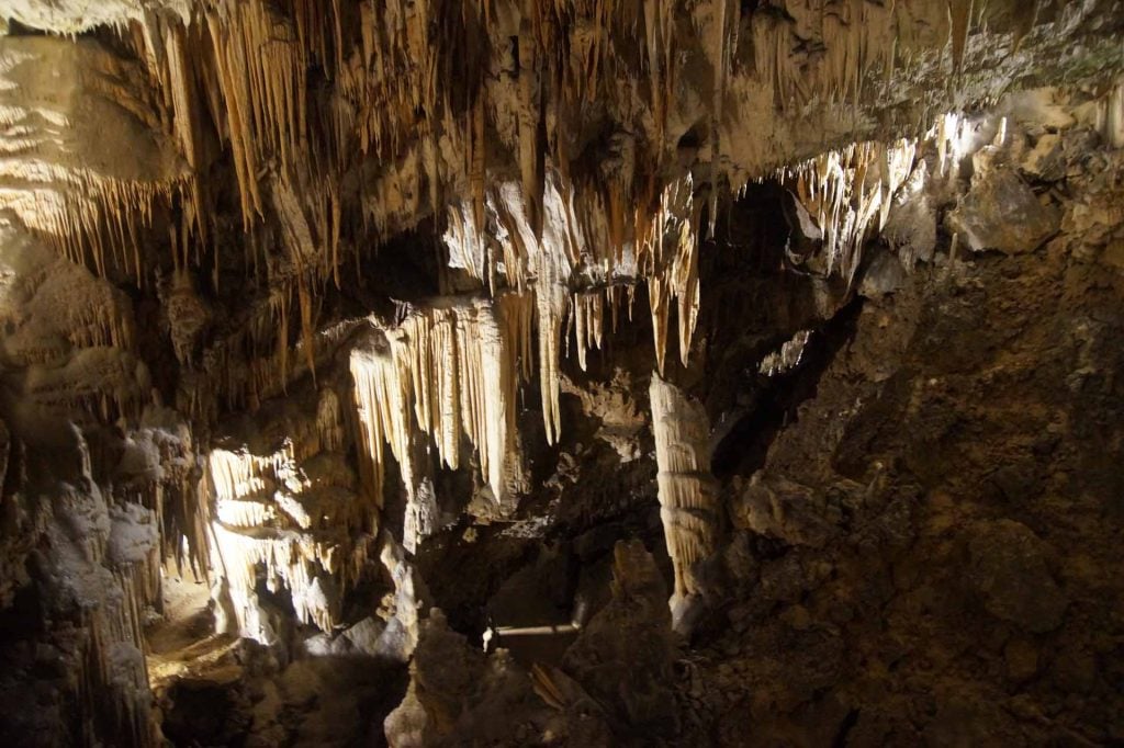 Met een treintje door de grotten van Postojna, Slovenië