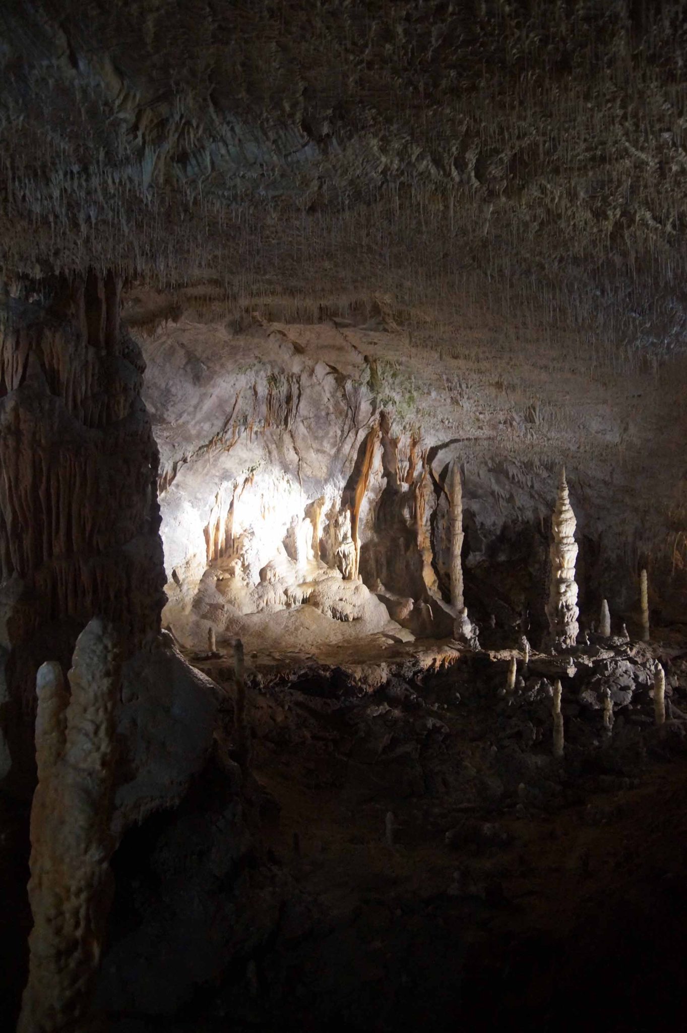 Met een treintje door de grotten van Postojna, Slovenië
