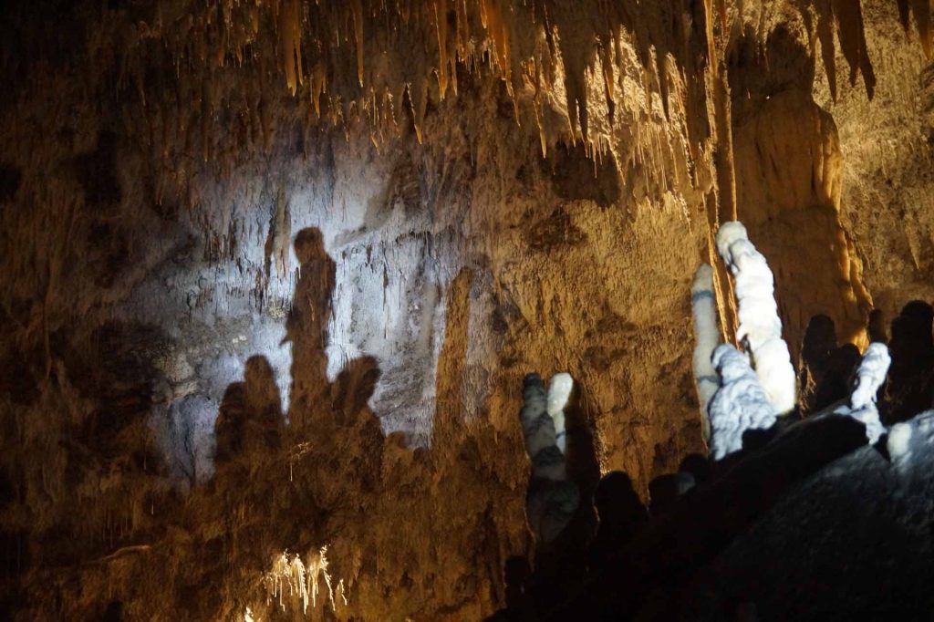 Met een treintje door de grotten van Postojna, Slovenië