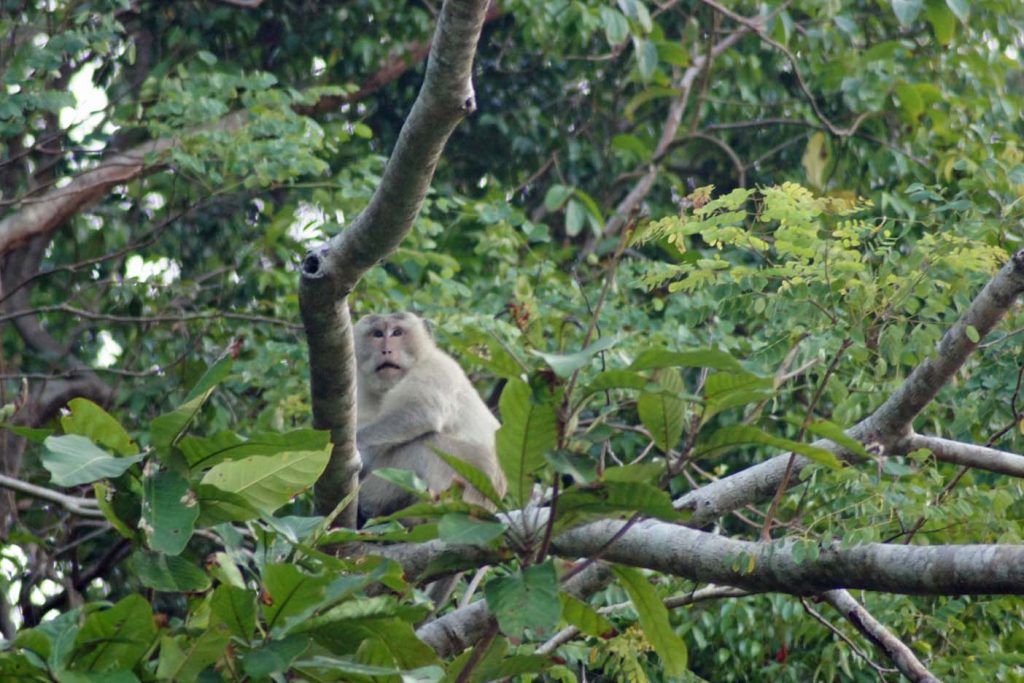 Koh Rong Cambodja bounty eiland voor het hele gezin