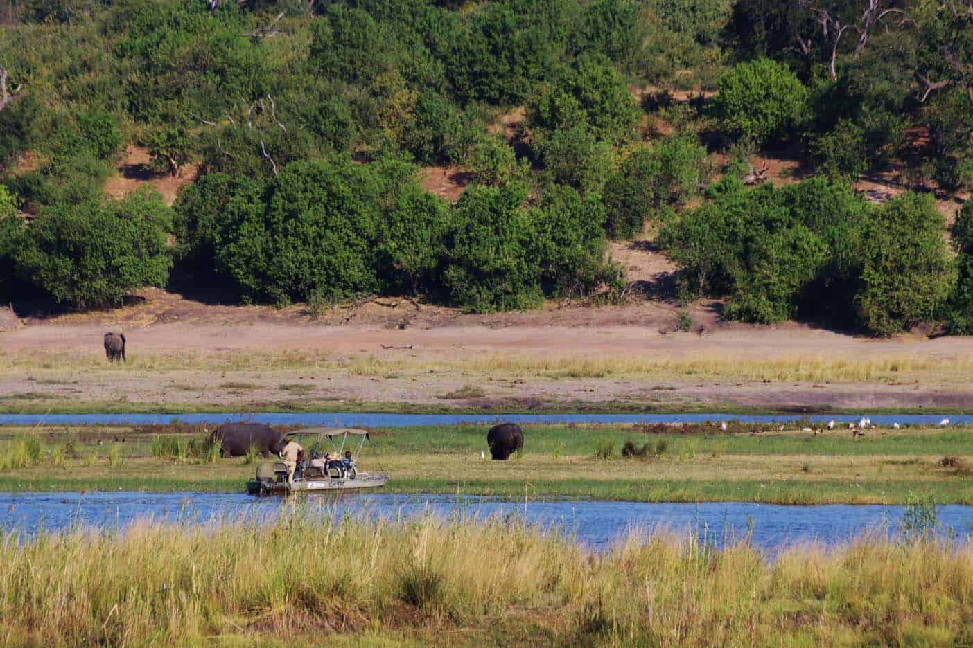 Met de Chobe Princess boot op safari in het Chobe National Park, onze ...