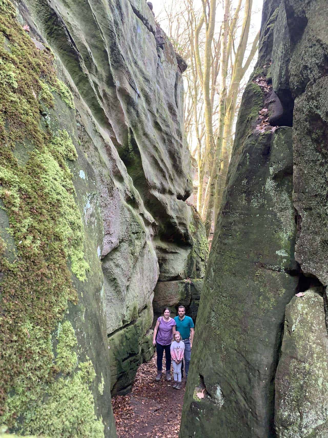 Wandelen in Luxemburg door de spannende bossen