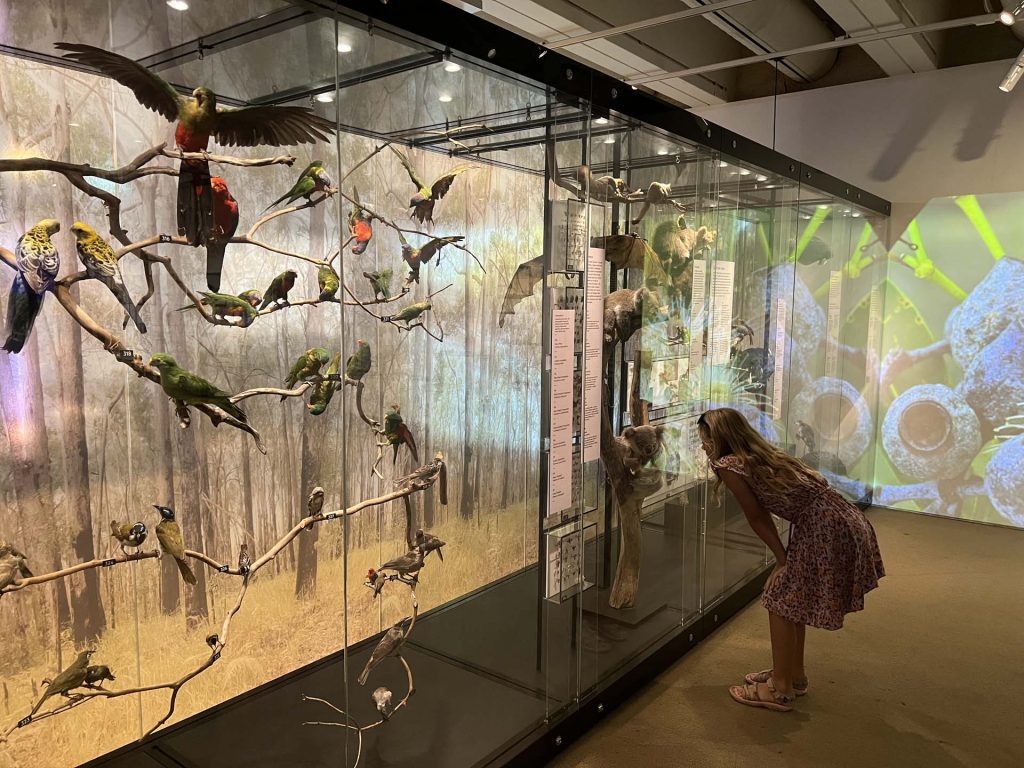 Brisbane met kinderen, zoveel te ontdekken voor het hele gezin - Gezin ...