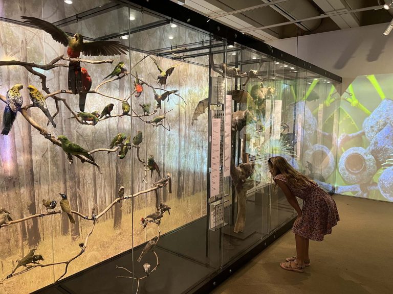 Brisbane met kinderen, zoveel te ontdekken voor het hele gezin - Gezin ...