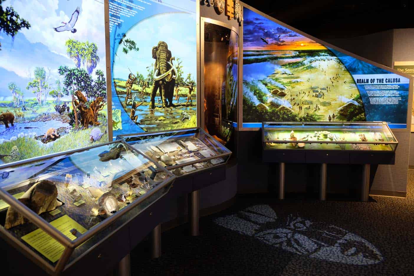 Naples Florida: dolfijnen, mooie stranden en leerzame musea - Gezin op Reis