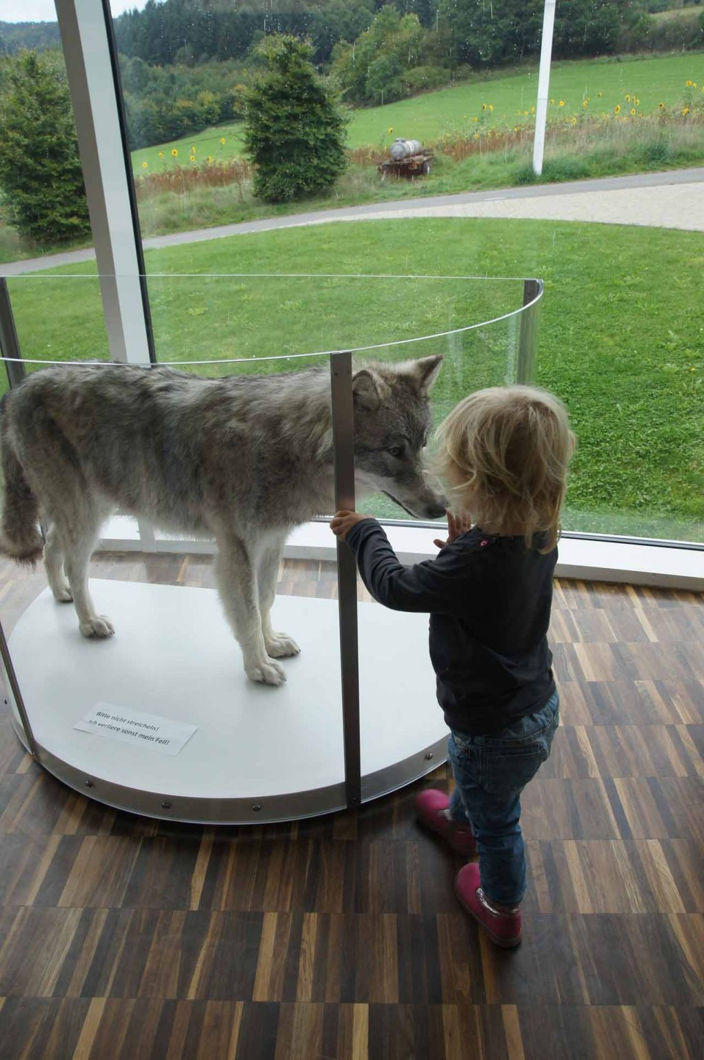 Lekker de natuur in, Kellerwald National Park - Gezin op Reis