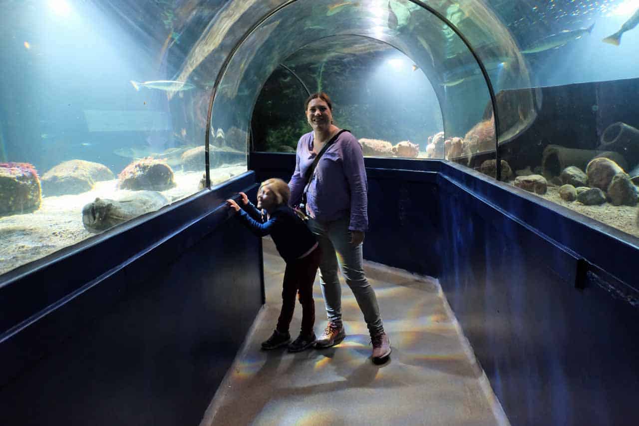 Lysekil, met aquarium Havets Hus - Gezin op Reis