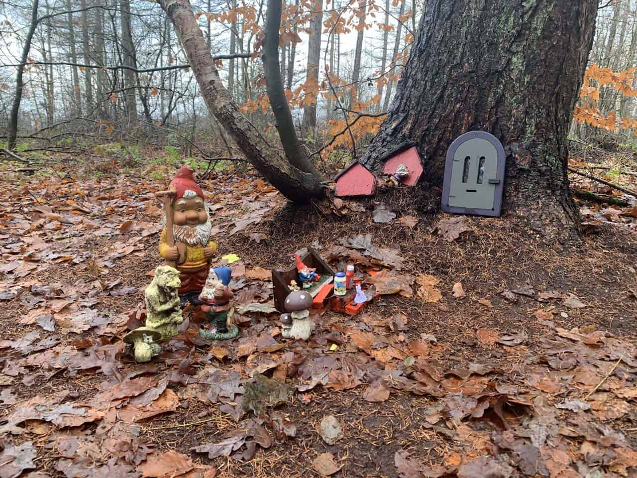 Het mysterieuze Kabouterbos van Klarenbeek - Gezin op Reis