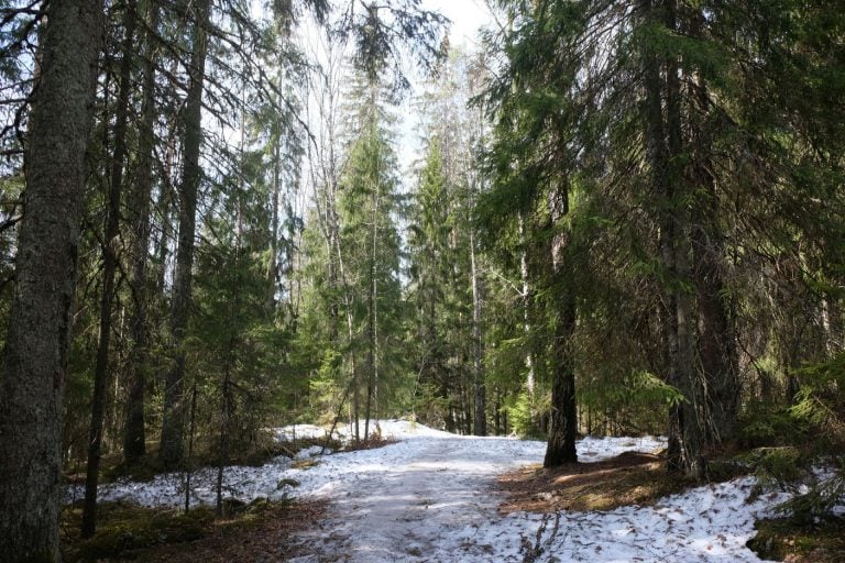 Nuuksio Nationaal Park, wandelen in de Finse natuur - Gezin op Reis