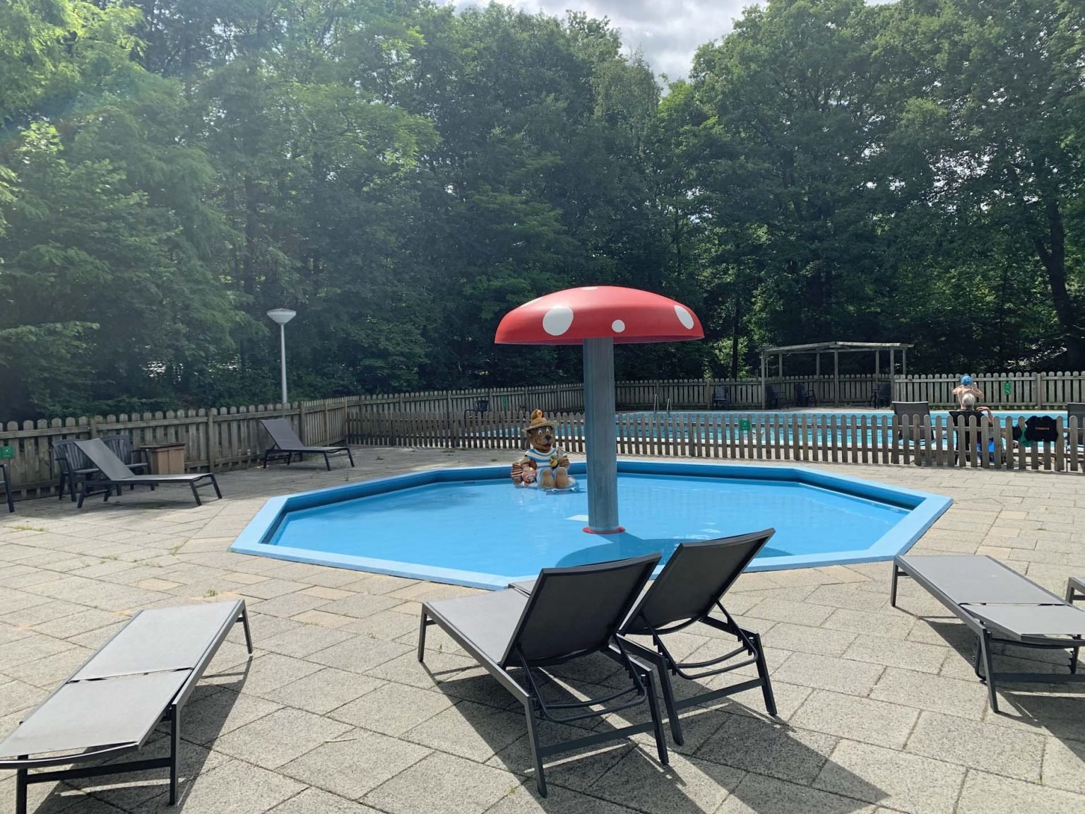 Landal Rabbit Hill, park met veel faciliteiten op de Veluwe - Gezin op Reis