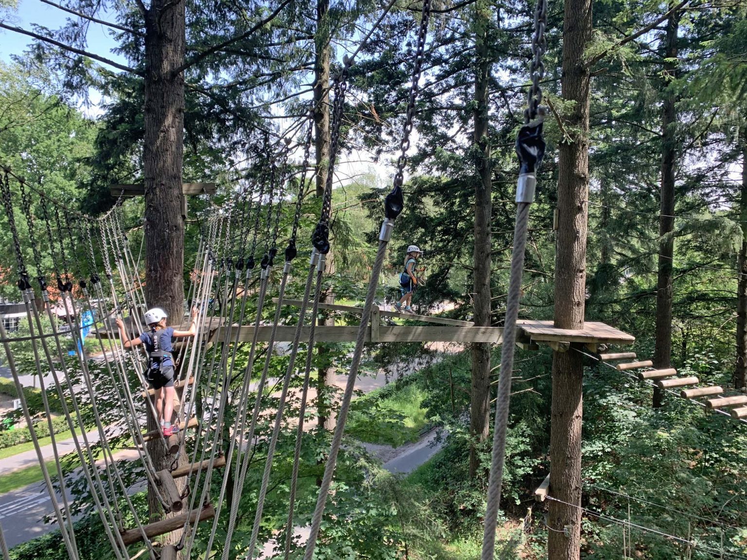Klimbos Garderen, populair klimbos op de Veluwe - Gezin op Reis