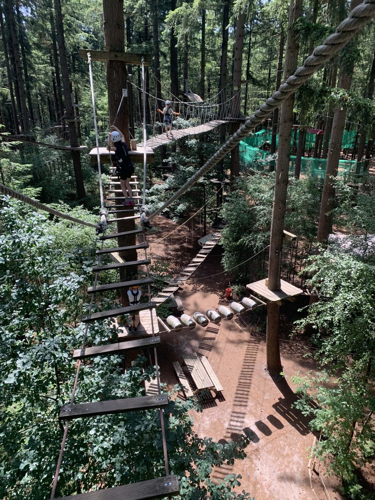 Klimbos Garderen, populair klimbos op de Veluwe - Gezin op Reis