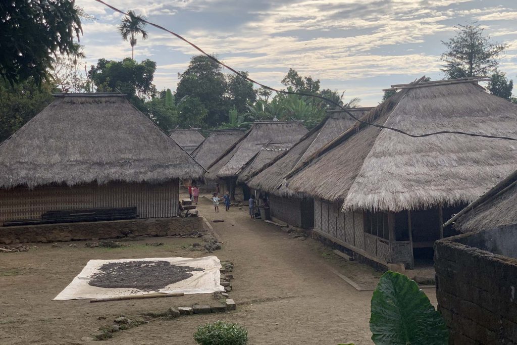 Wat te doen in Senaru, anders dan Rinjani beklimmen - Gezin op Reis