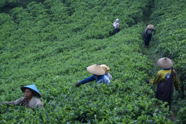 Java met kinderen, tips voor jullie vakantie - Gezin op Reis