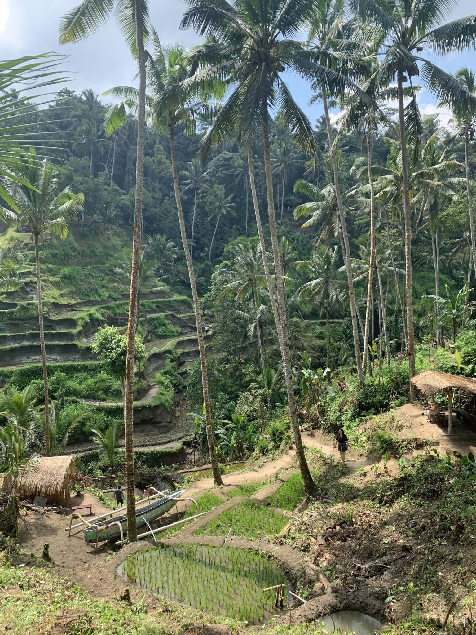 Ubud met kinderen, wat te doen in de stad en omgeving - Gezin op Reis