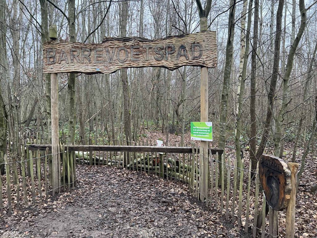 Trollenwandeling in de Schorre, leuke wandelroute met kids - Gezin op Reis