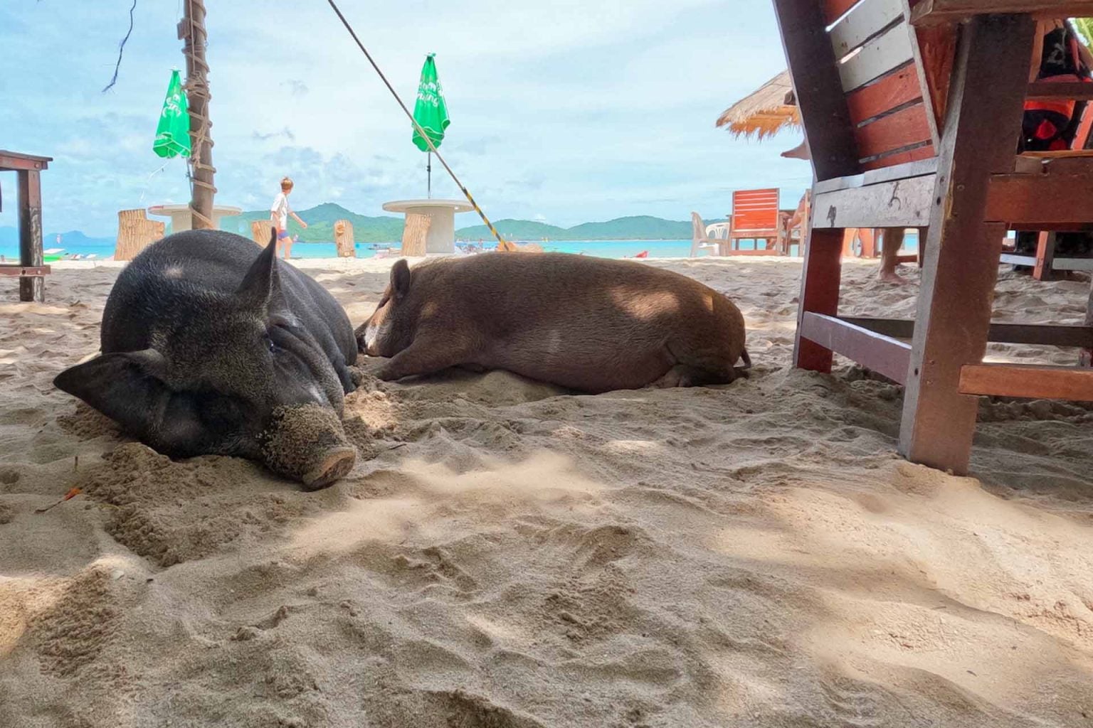 Koh Samui met kinderen - Gezin op Reis
