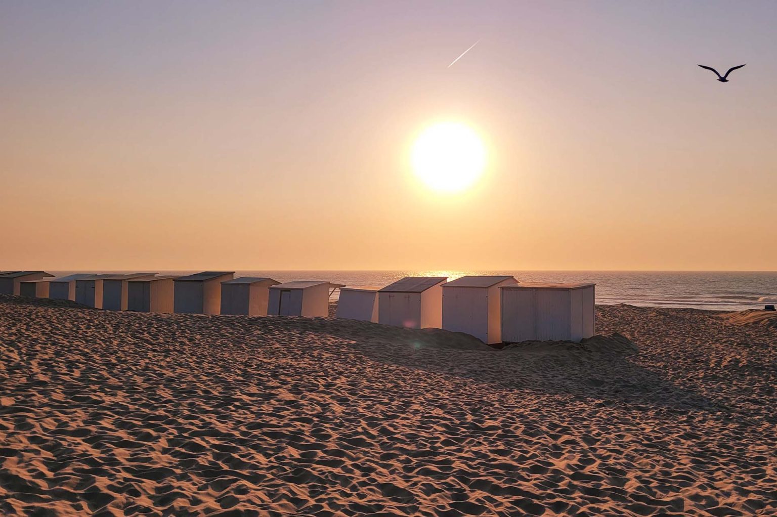 Bredene en Oostende met kinderen, avontuur aan de Belgische kust ...