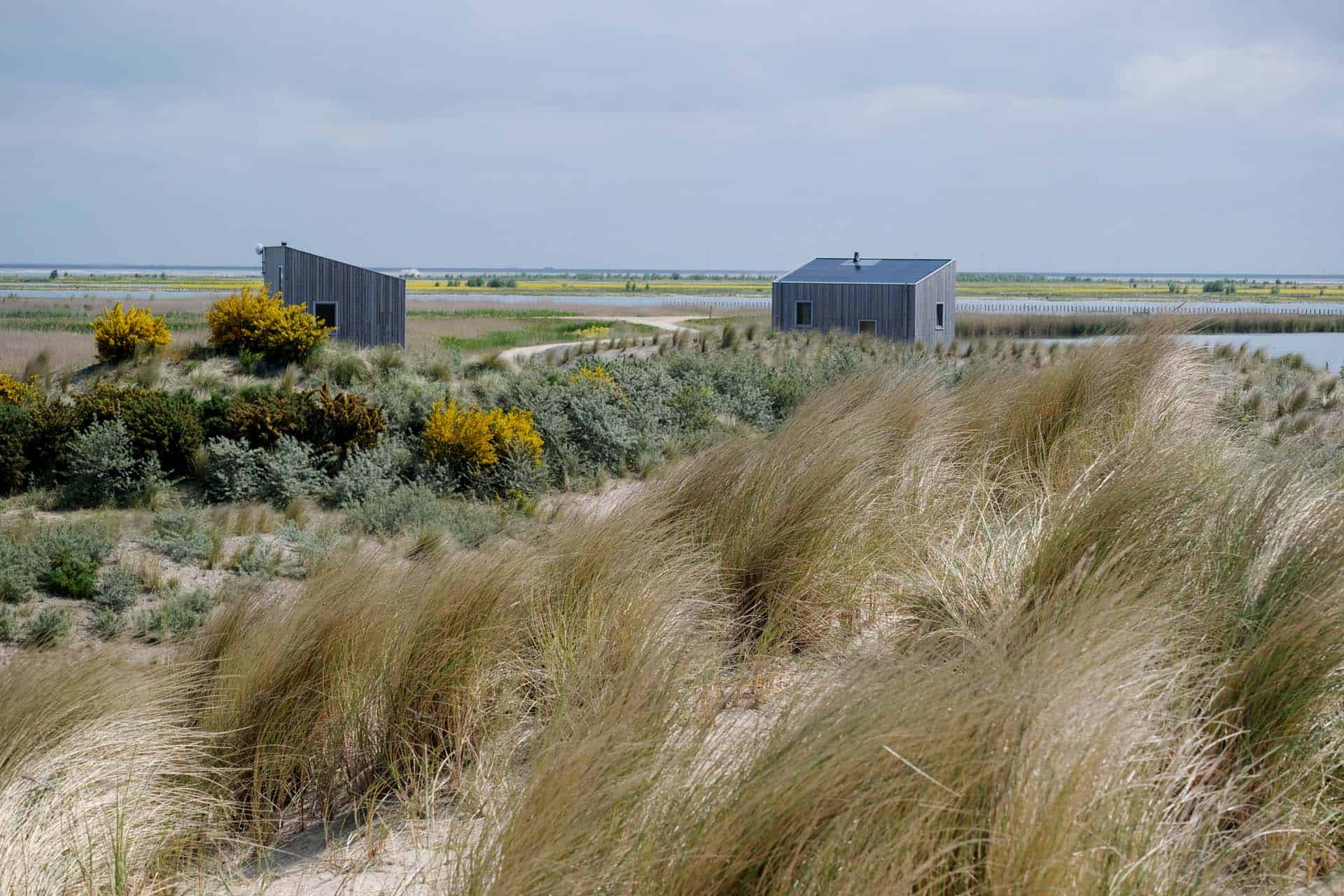 Bezoek aan de Marker Wadden met kinderen - Gezin op Reis