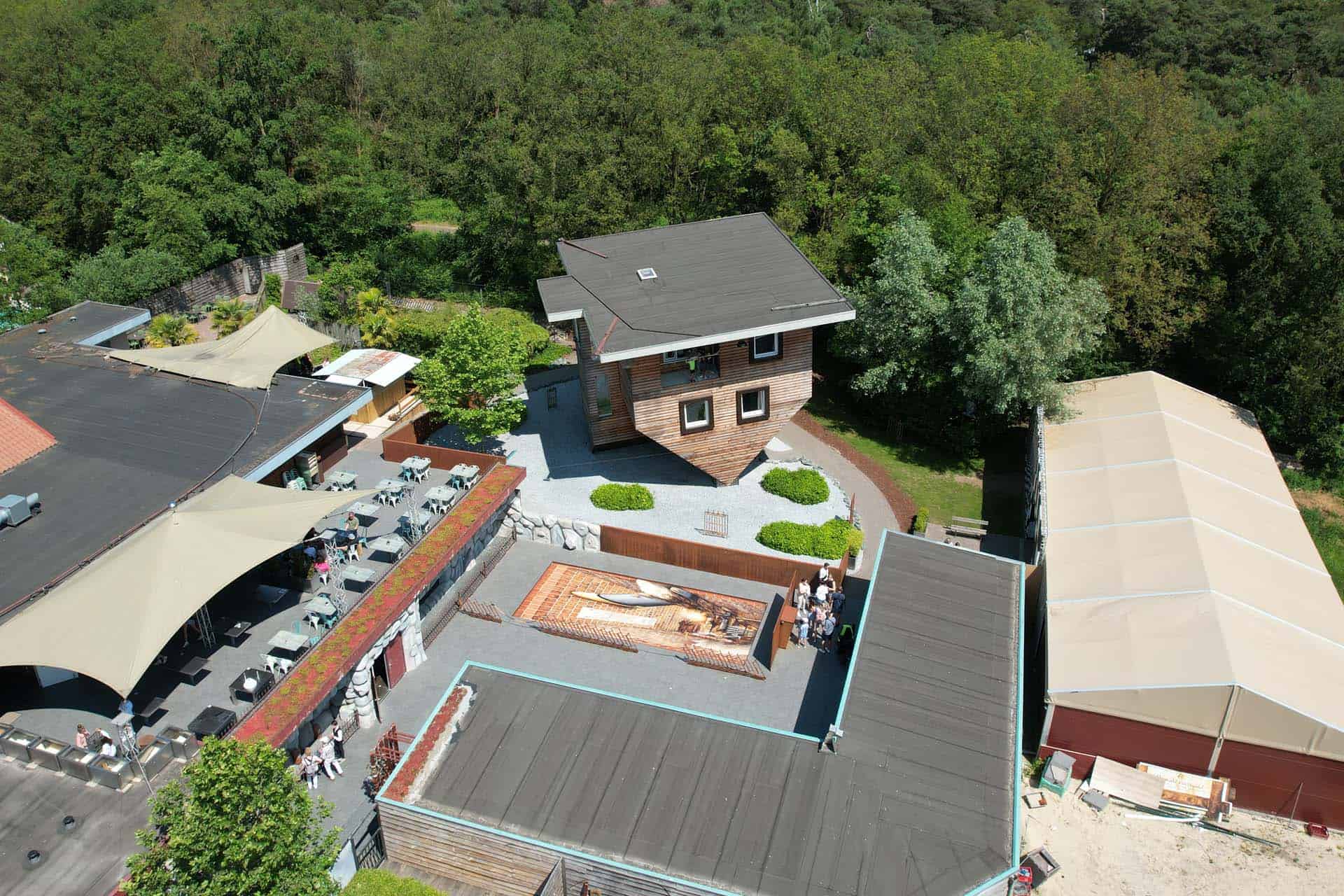 Mind Mystery, fun met optische illusies - Gezin op Reis