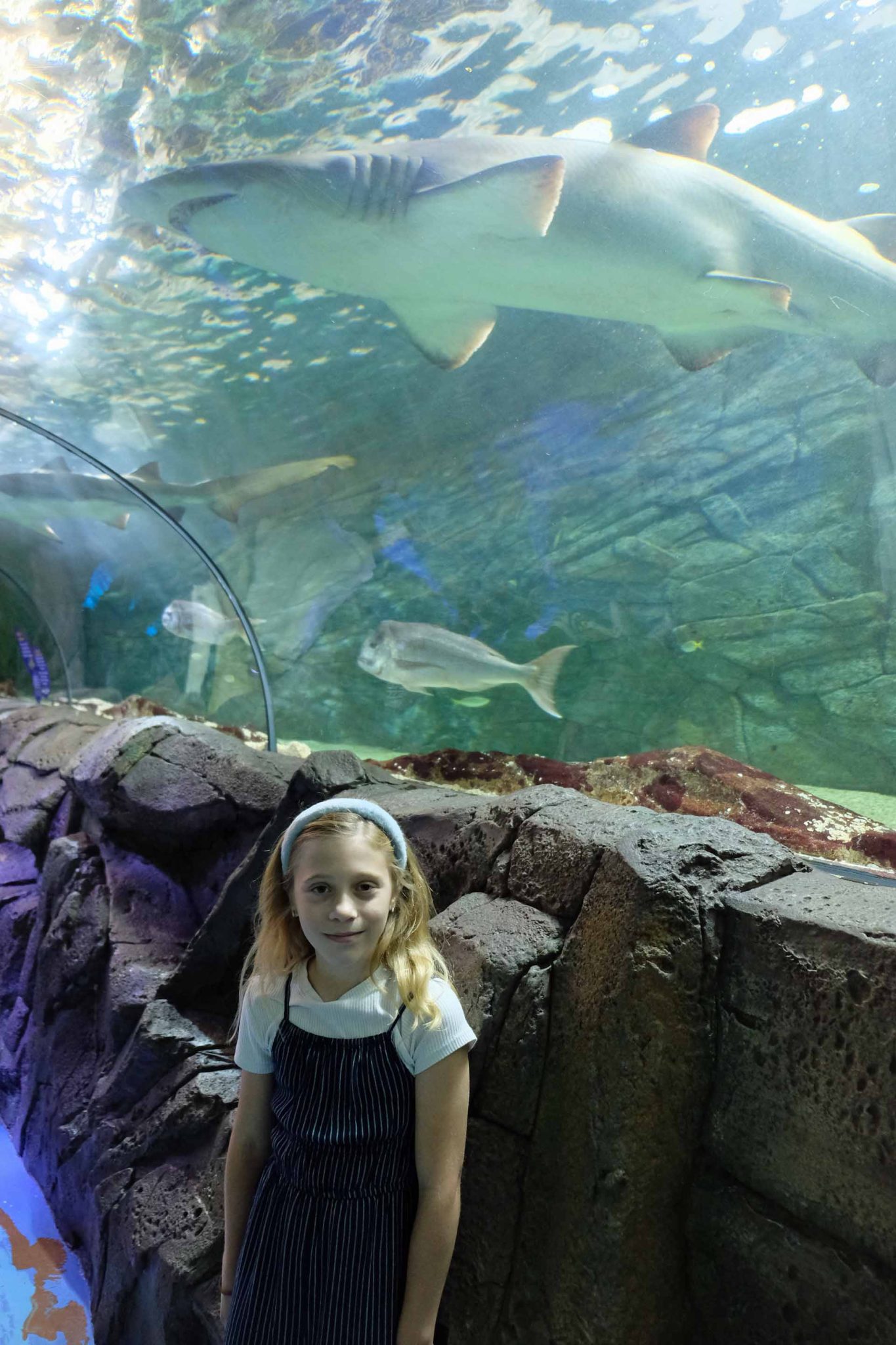 Sydney met kinderen, activiteiten, tips en accommodatie - Gezin op Reis