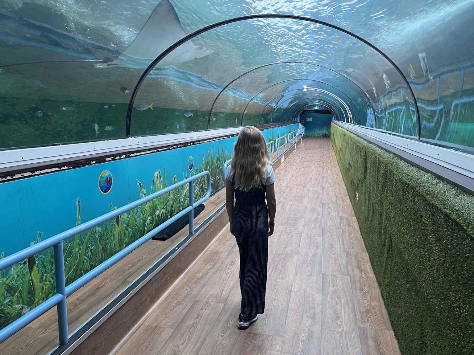 Sydney met kinderen, activiteiten, tips en accommodatie - Gezin op Reis