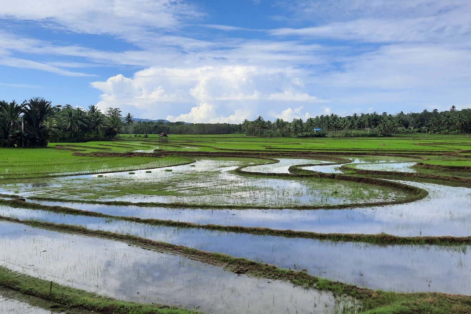 Interview: familierondreis door Zuid-Sulawesi - Gezin op Reis