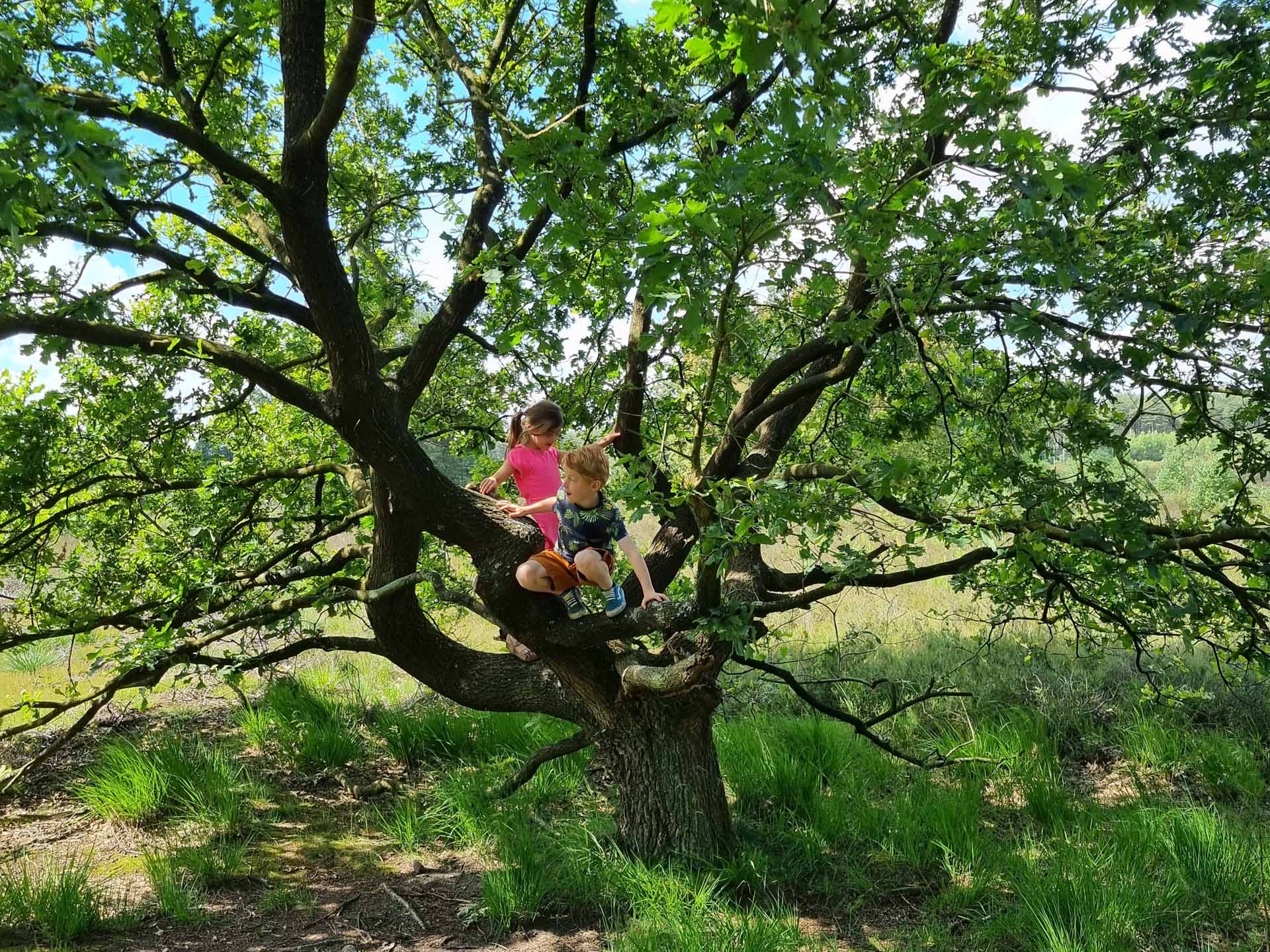 Nationaal Park Bosland met kinderen - Gezin op Reis