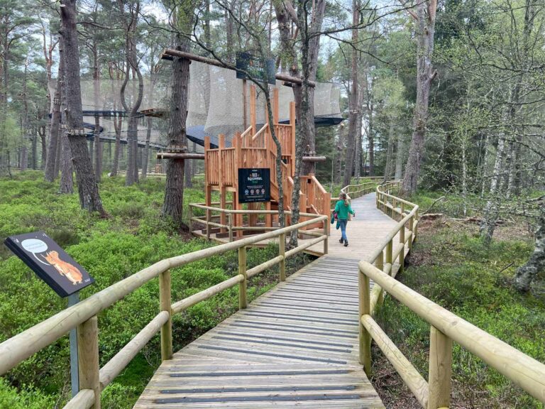 Landmark Forest Adventure Park, een top dagje uit in Schotland - Gezin ...