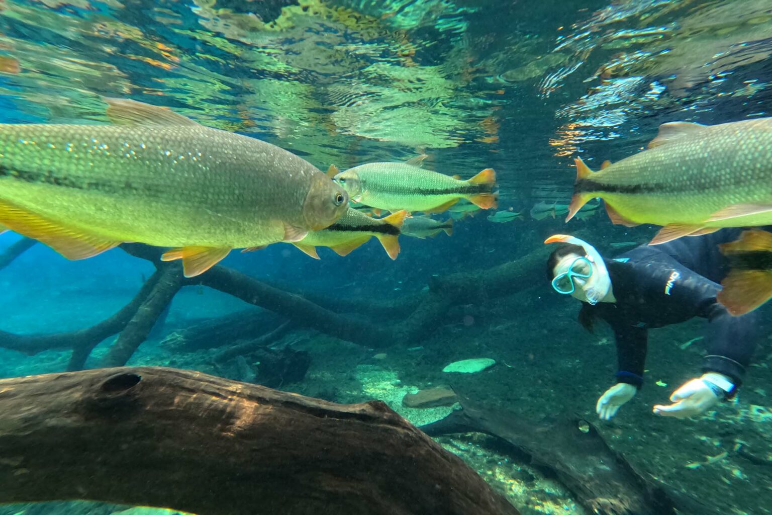 Bonito met kinderen, de leukste tours plus persoonlijke tips - Gezin op ...