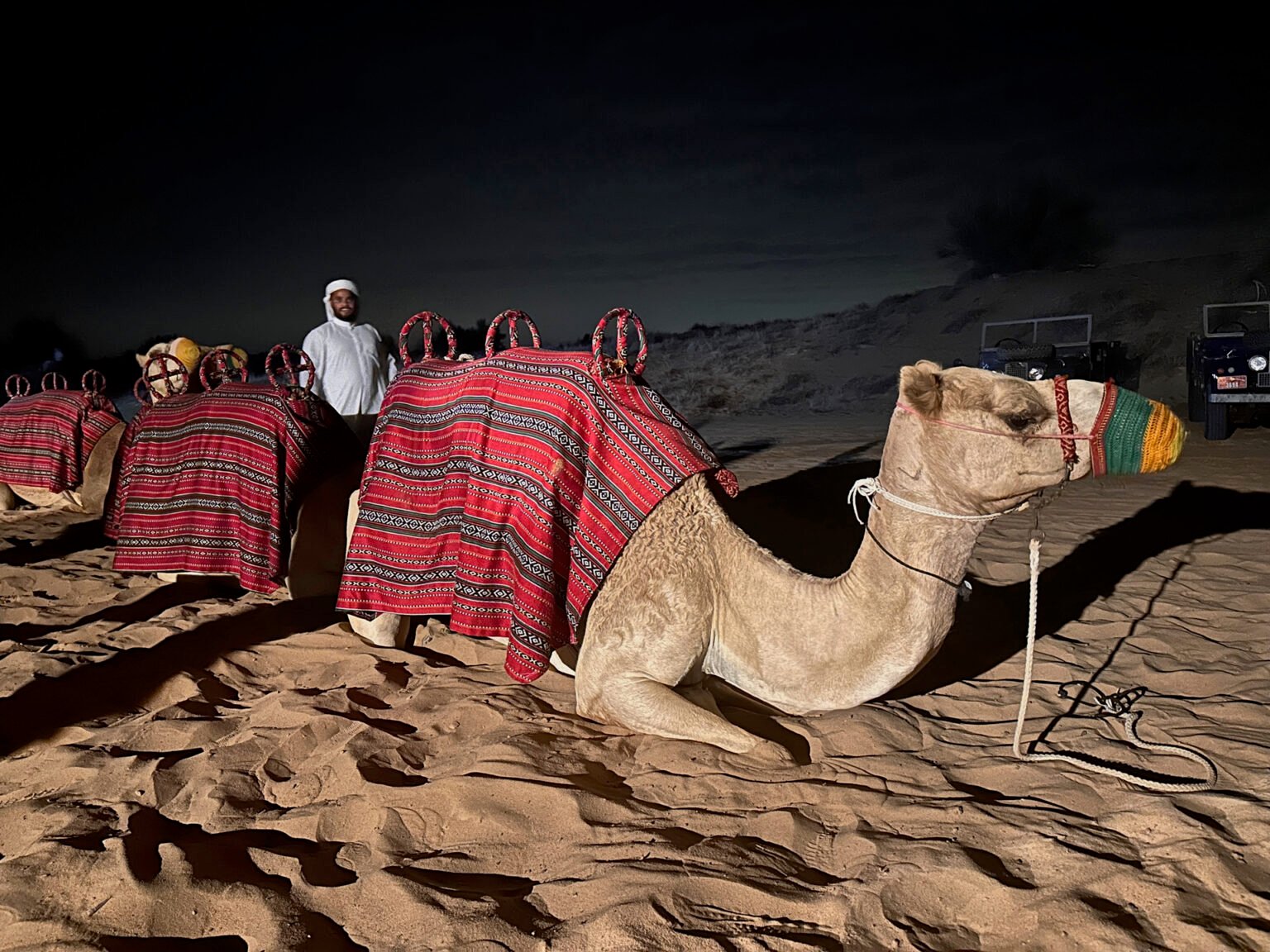 Op avontuur in de woestijn van Dubai - Gezin op Reis