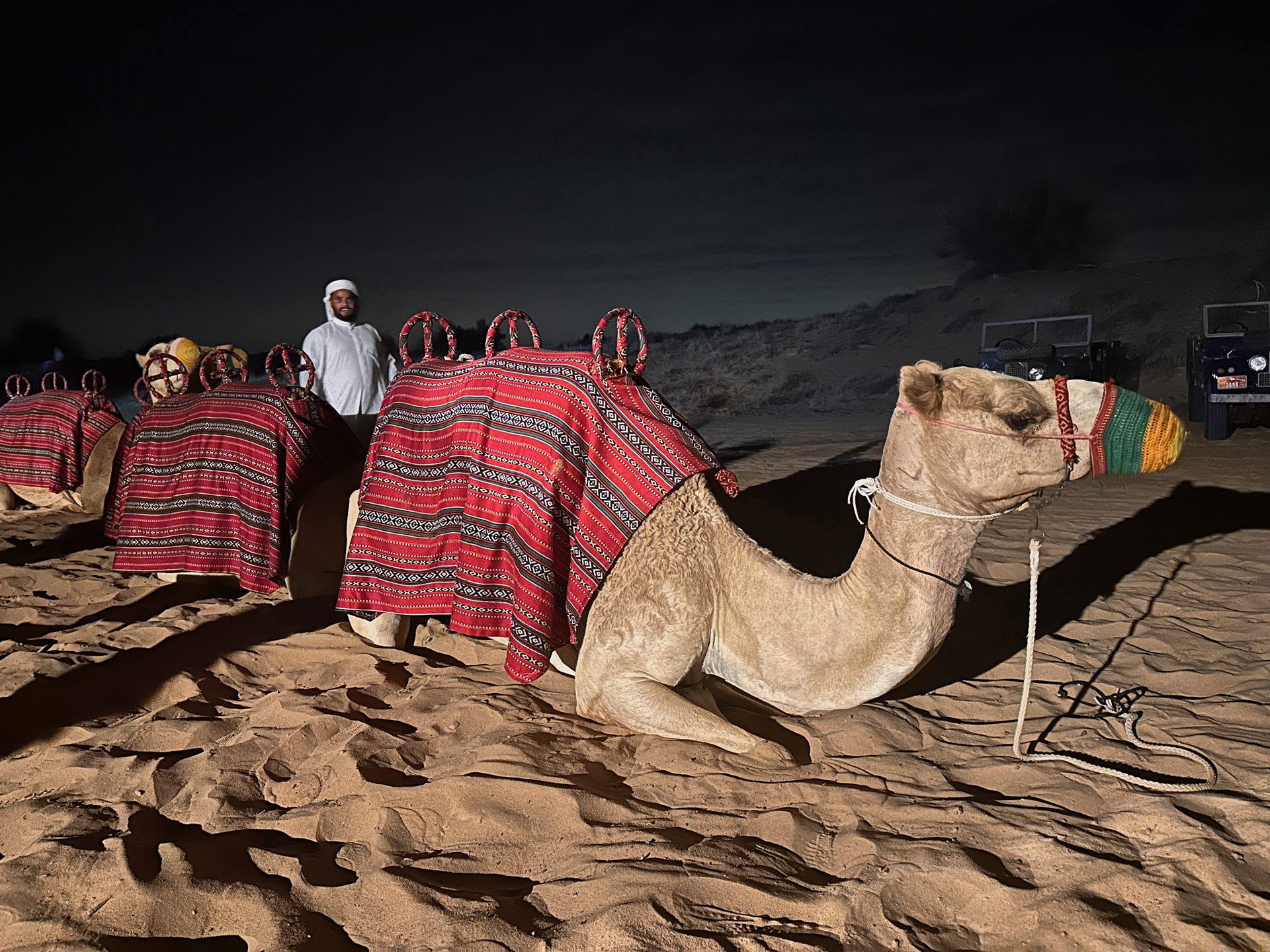 Op avontuur in de woestijn van Dubai - Gezin op Reis