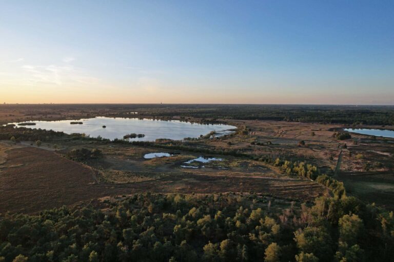 Landal De Strabrechtse Vennen, natuur en zwemmen in Noord-Brabant ...